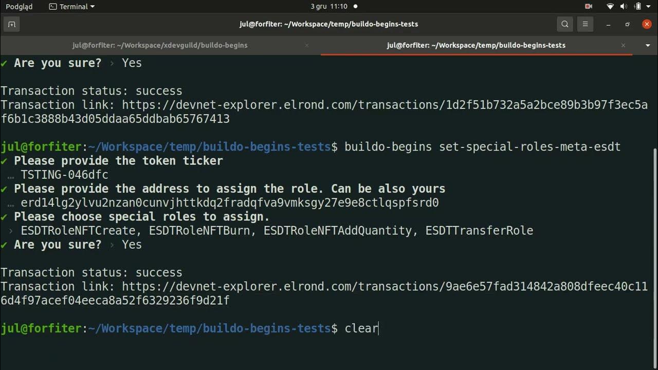 Create Meta ESDTs on the MultiversX Blockchain with a simple CLI tool - YouTube