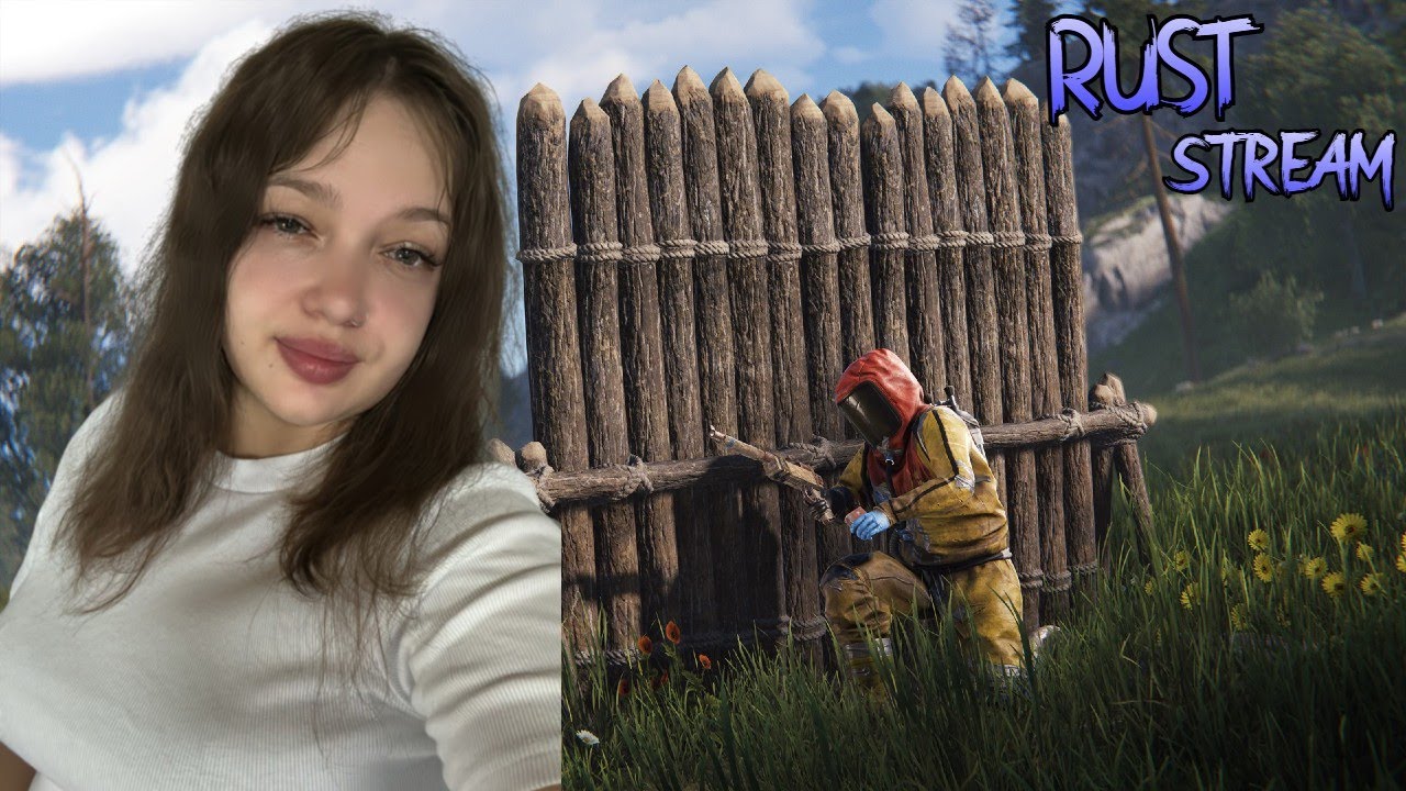 Старт с нуля с Алинчиком и @Vi_Rust в RUST - YouTube