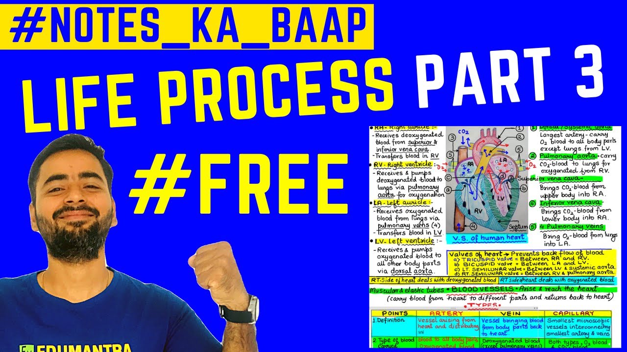 FREE SUPER NOTES - LIFE PROCESSES - PART 3 (Hand Written ...