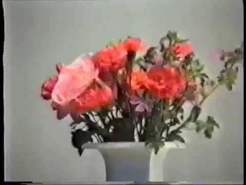 Mahmud Esad Coşan - Ben Kur’an’a aykırı bir şey söylüyorsam dinlemeyin!