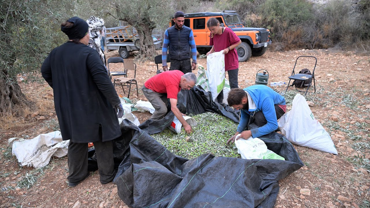 Al-Mazra'a ash-Sharqiya 28.10.2023 - YouTube