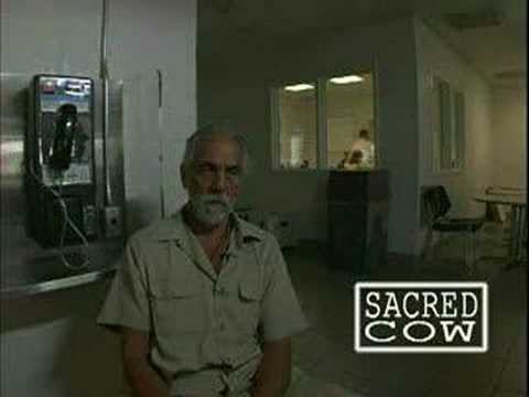 tommy chong prison interview part 1 - YouTube