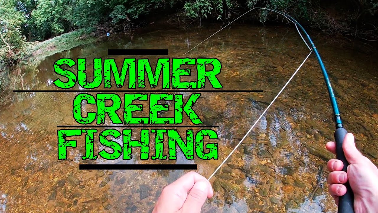 Summer CREEK FISHING with a FLY ROD - YouTube