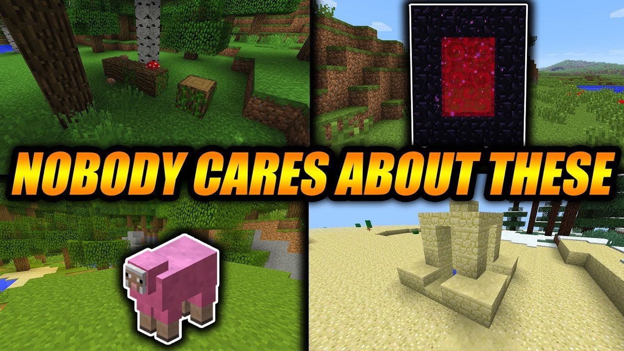 Rare Things In Minecraft That NOBODY CARES ABOUT!! - Minecraft Xbox/PE ...