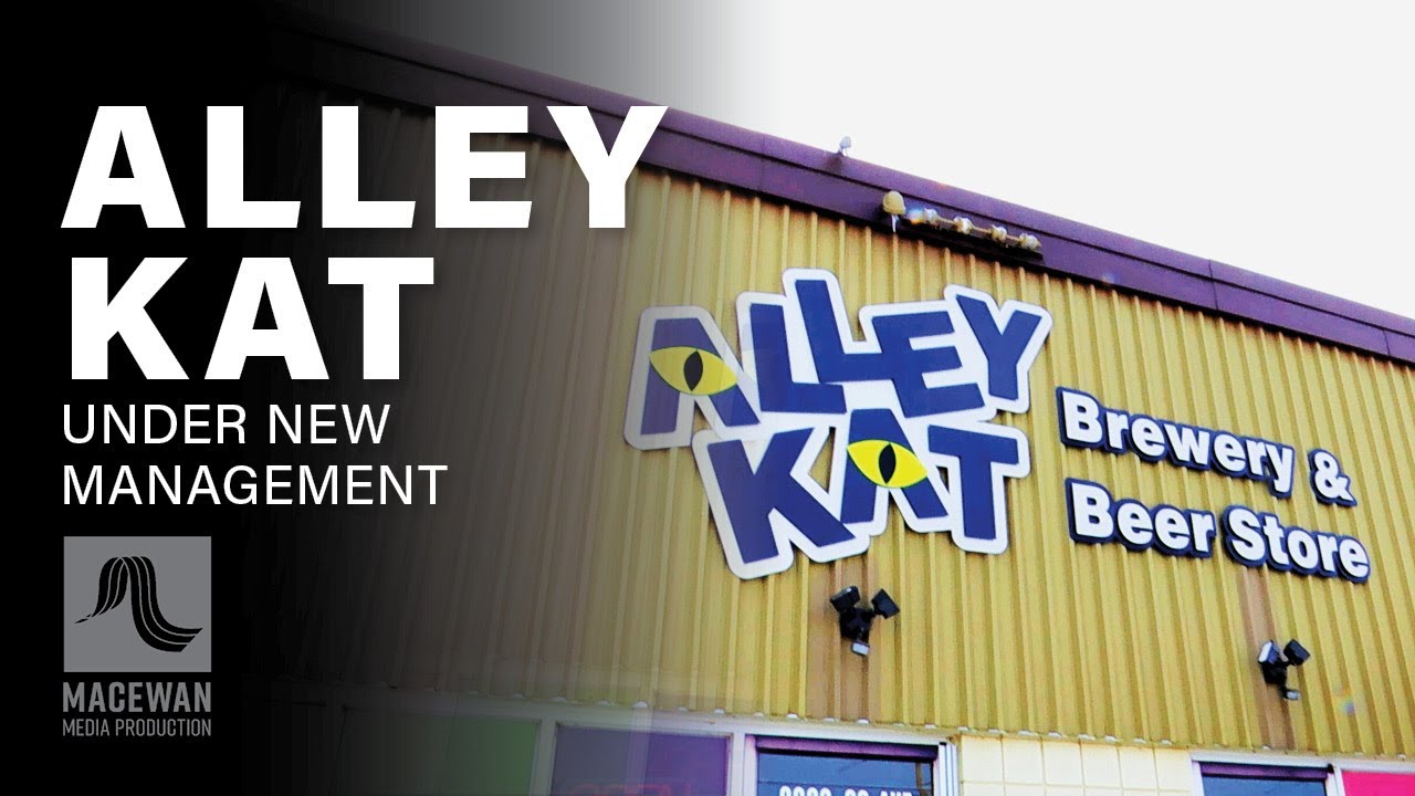 Alley Kat: Under New Management - YouTube