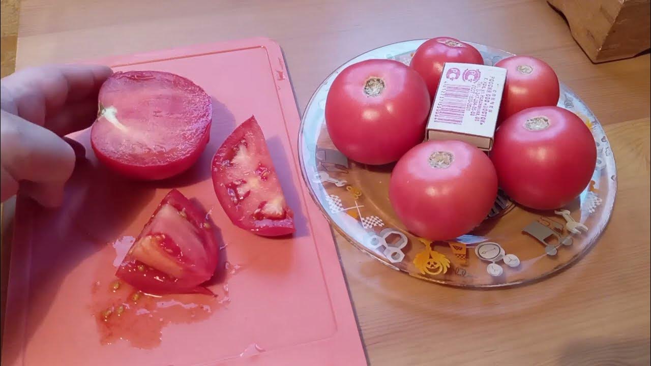 Пинк Парадайз - томат из магазинного помидора. 🍅 - YouTube