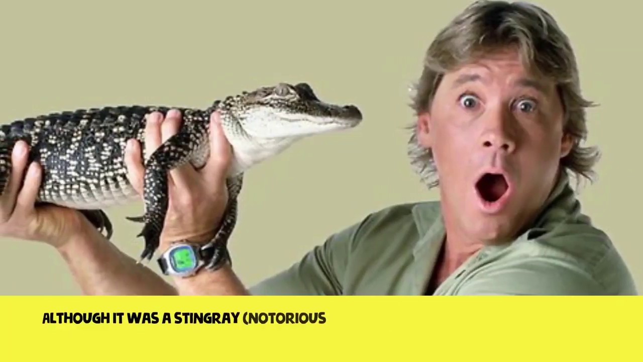 14 World Largest Animals YouTube 14-world-largest-animals-youtube