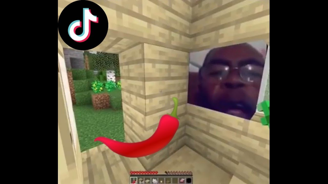 WHAT! Get That Pepper Off There! Funny Minecraft Tiktok! - YouTube
