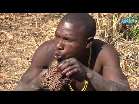 WAHADZABE NOMA.! ONA WANAVYOKULA ASALI BILA KUOGOPA NYUKI