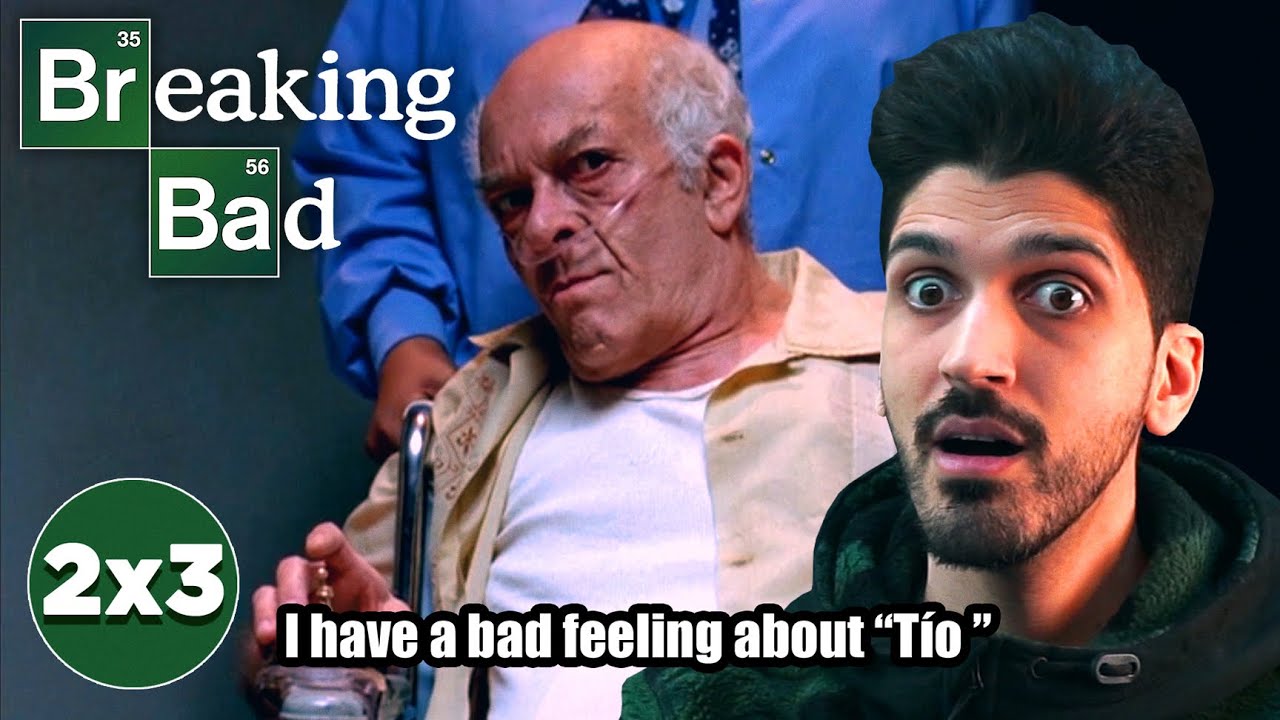Breaking Bad 2x3 Reaction: Bit By A Dead Bee | First Time Watching ...
