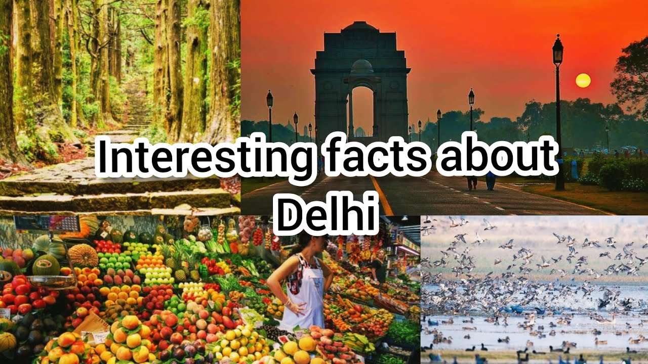 Interesting facts about Delhi || Delhi || India - YouTube