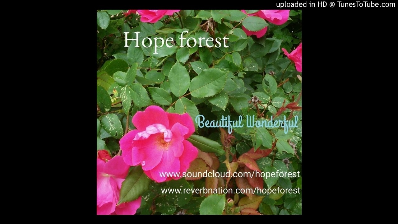 Hope forest, Beautiful Wonderful - YouTube