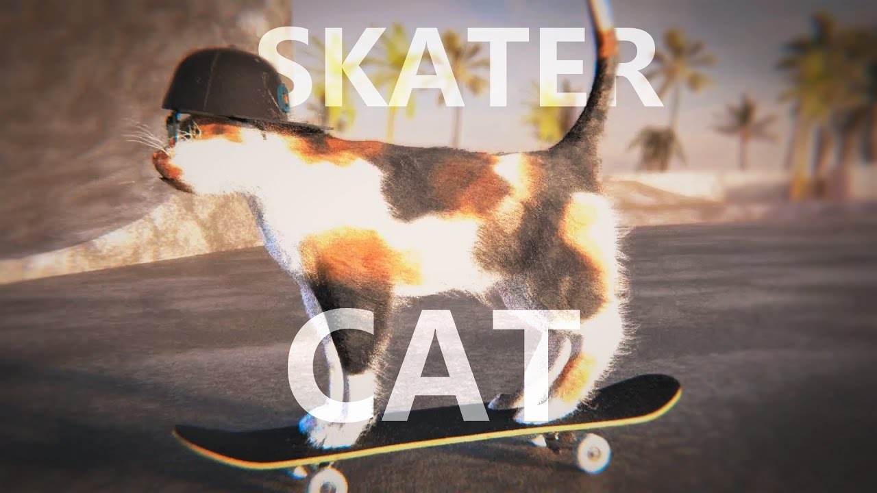 Skater Cat - 3D animation - YouTube