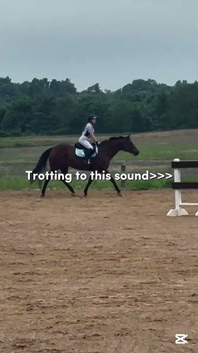 trotting to this sound 🩷🐴#equestrian #horseriding #horses #horselove ...