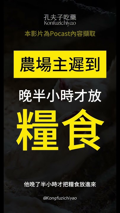 原來我們都只是,農場中的「火雞」|孔夫子吃藥 Shorts Reels 抖音 Memes Podcast 文化 經濟 理論