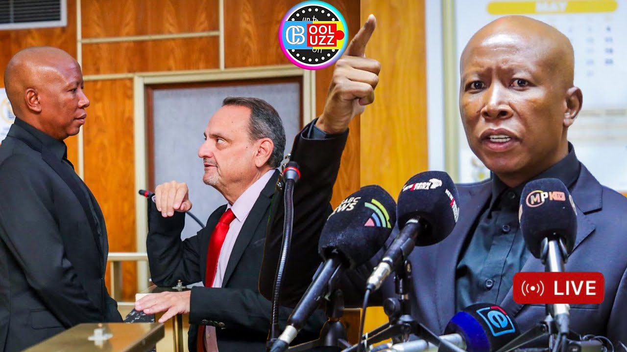 See How Julius Malema Embarrassed This Lawyer in Court Today - YouTube