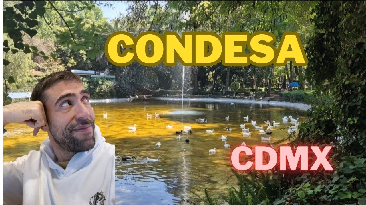 Guía Completa: Qué Hacer en la Colonia Condesa, CDMX | Mejores ...