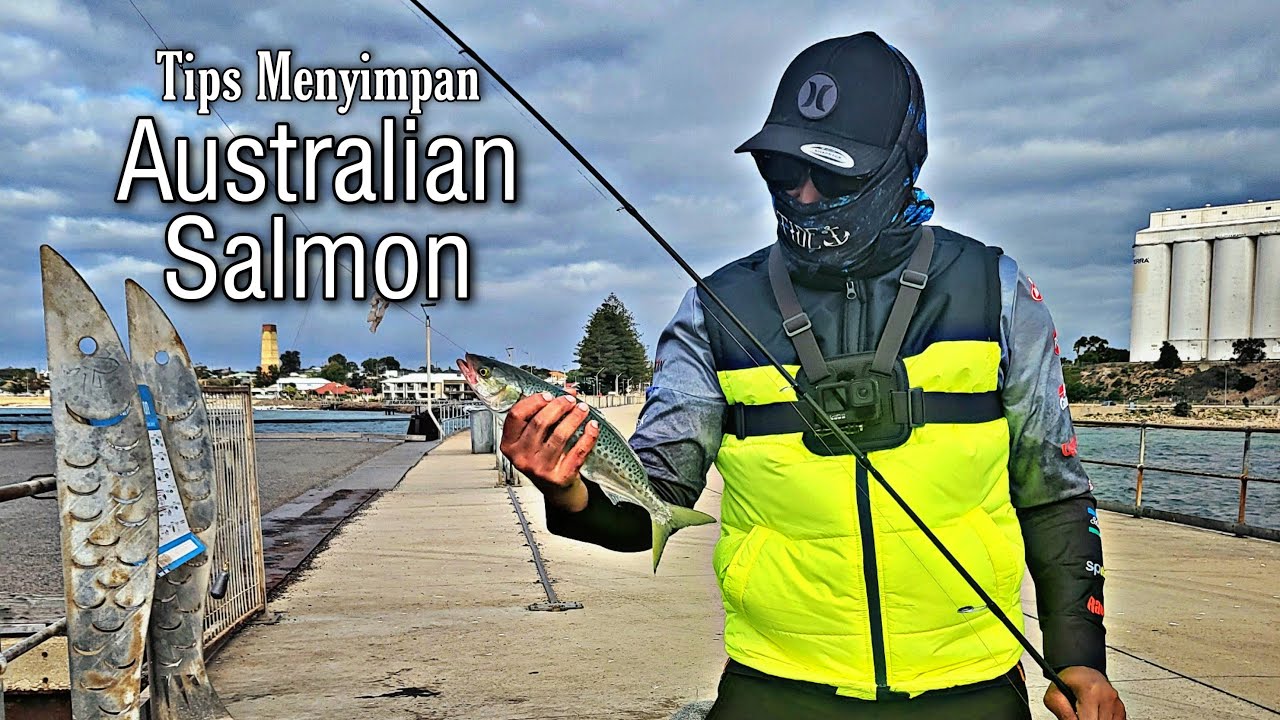 Australian Salmon | Wallaroo Jetty Fishing - YouTube