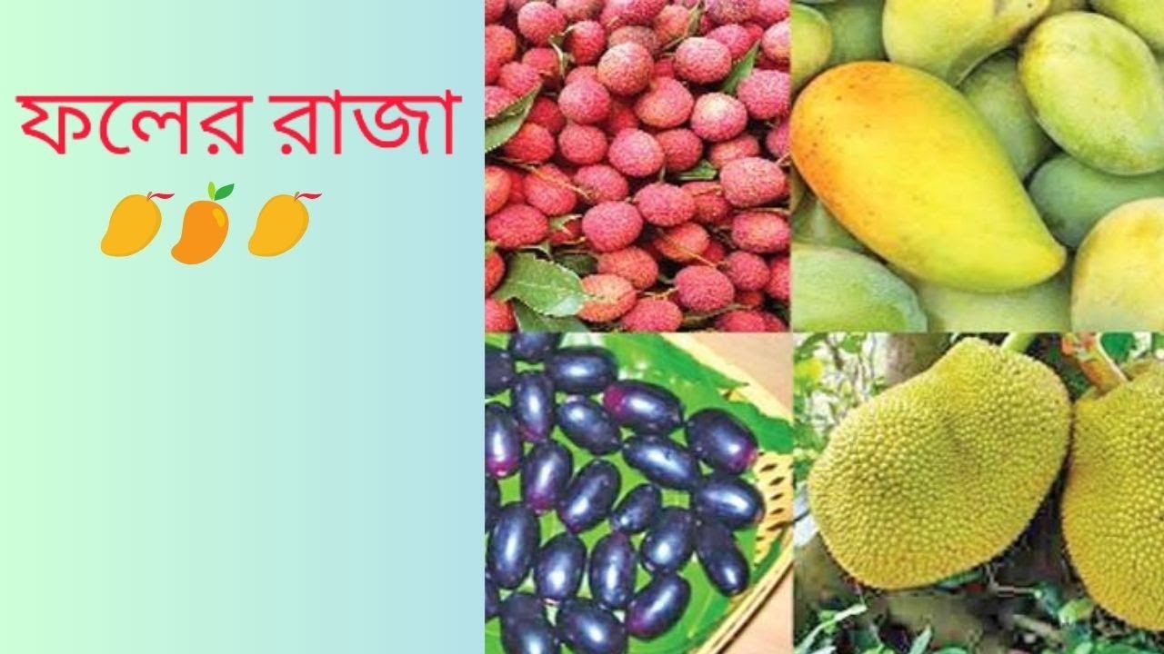 mango | mangoes | lychee | happy rony blogs | আম | mango lover | mangos ...