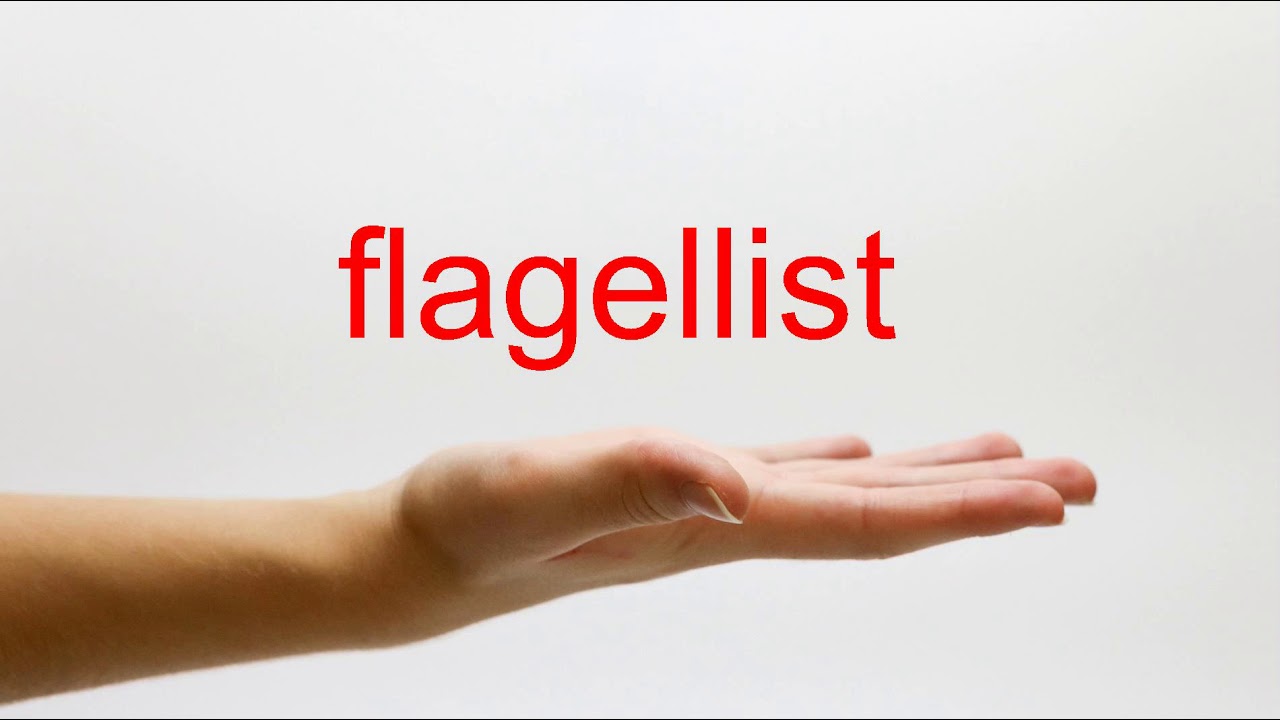 How to Pronounce flagellist - American English - YouTube