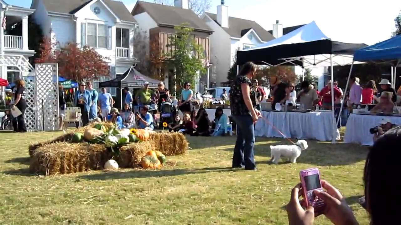 Trick Show - YouTube