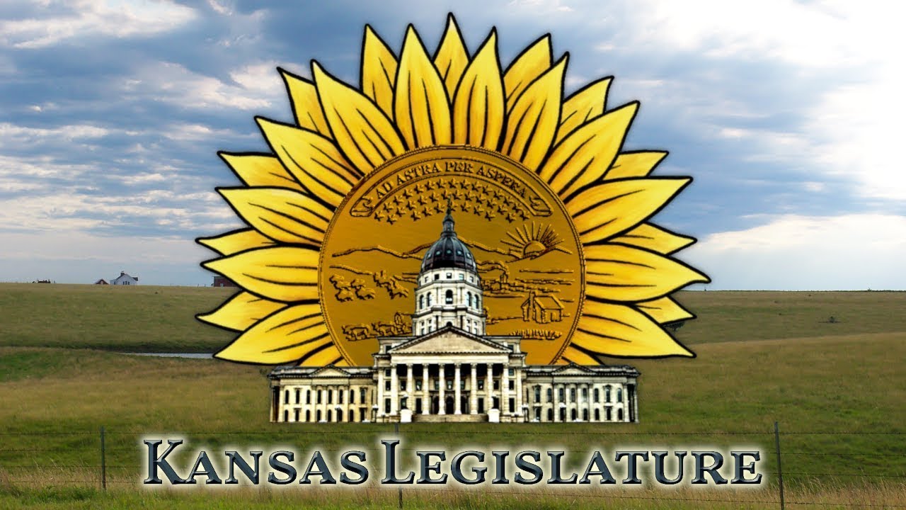 Special Committee on Medical Marijuana 10/19/2022 - YouTube