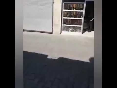 Hercai 10. Bölüm Kamera Arkası