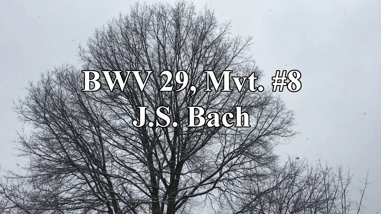 BWV 29, Mvt. #8 J.S. Bach - YouTube