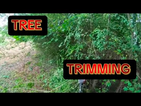 Pyro Pete's tree trimming. - YouTube