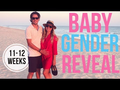 GENDER REVEAL & Pregnancy Chat: 11-12 Weeks!