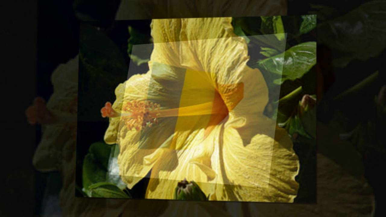 Drapelul National al Romaniei ! ***** - YouTube