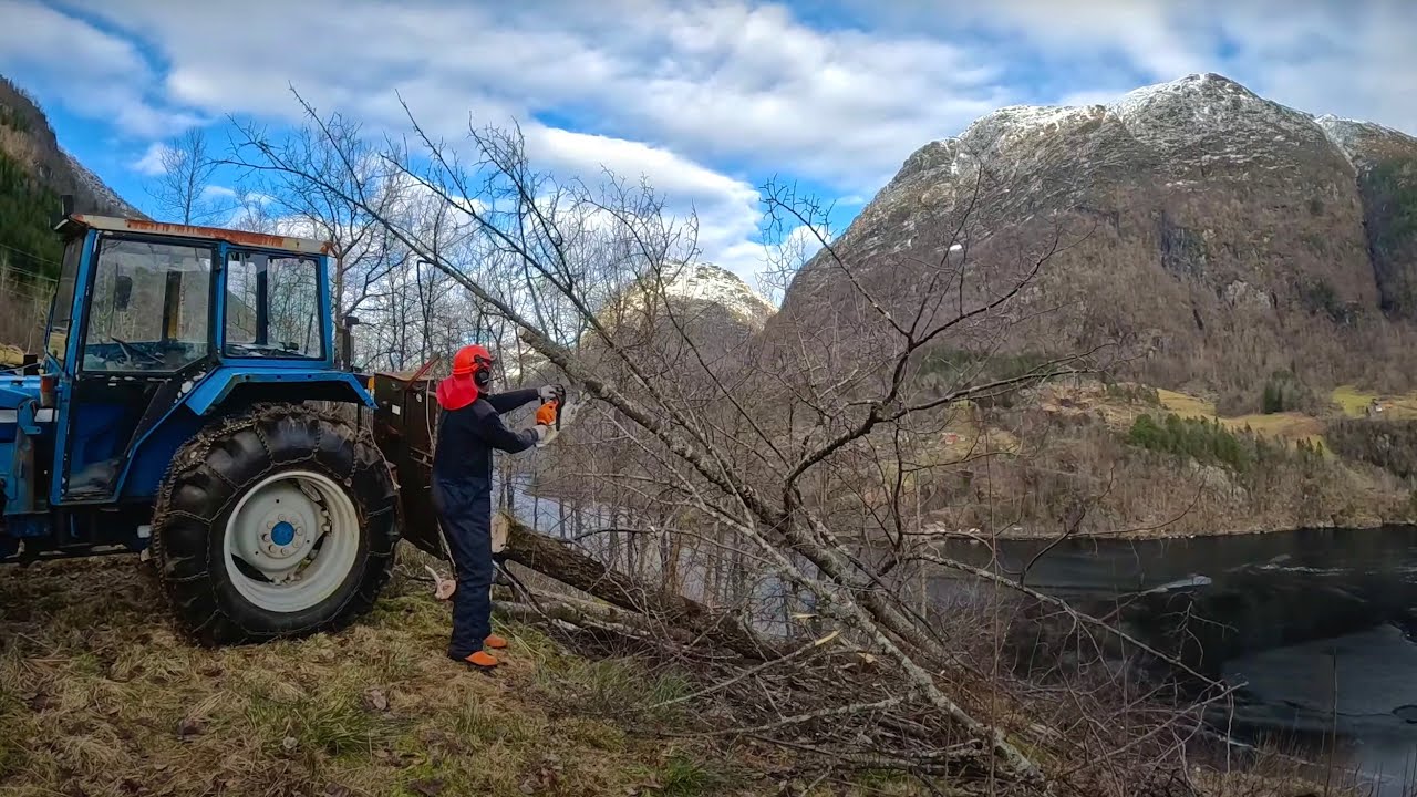 Steep Slope Logging - Fixing the View! - YouTube