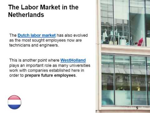 Workforce in the Netherlands - YouTube