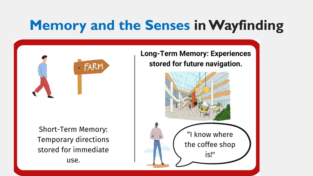 How Memory Impacts Wayfinding for Beginners - YouTube