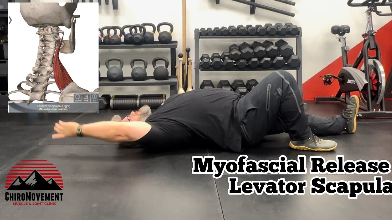 Myofascial Release: Levator Scapulae - YouTube