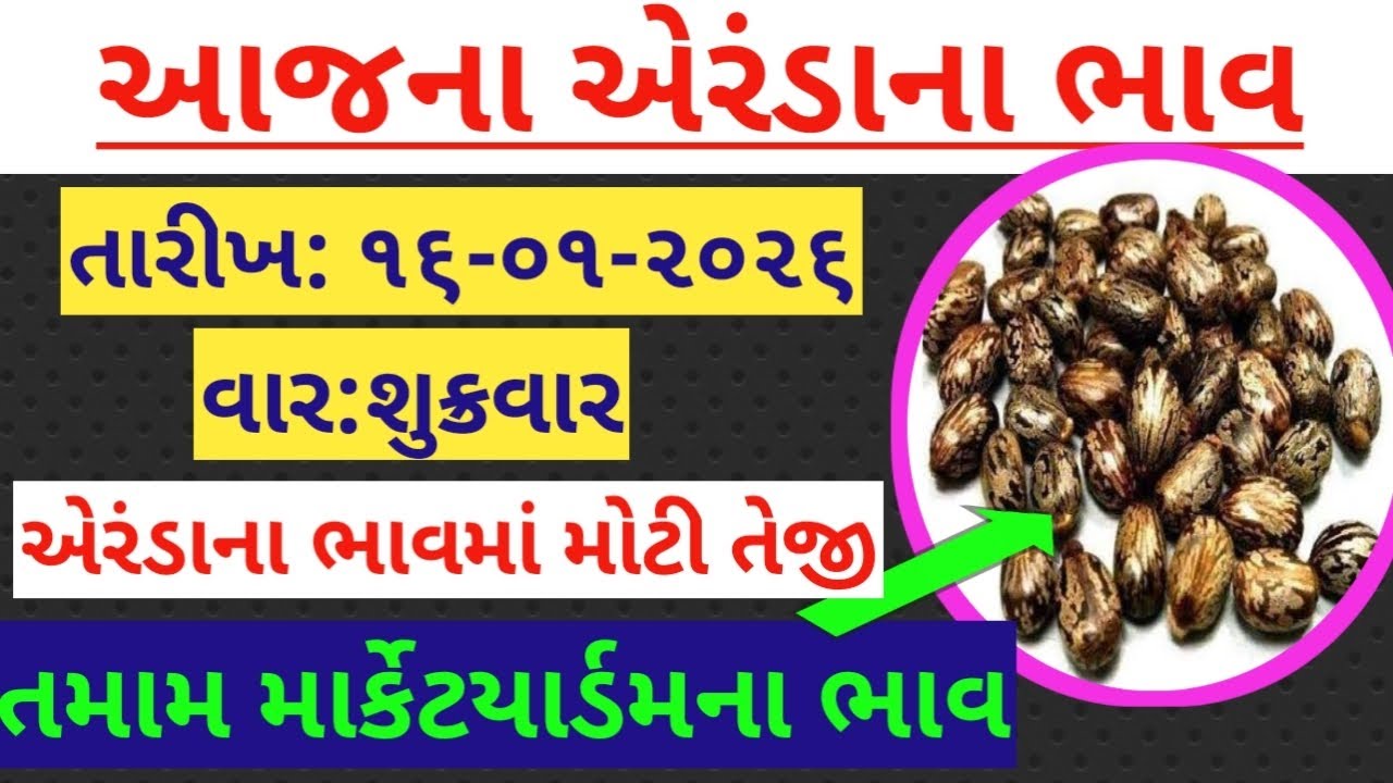 આજના એરંડાના ભાવ - Date.16/01/2026.(શુક્રવાર) Aeranda na bhav 2025 ...