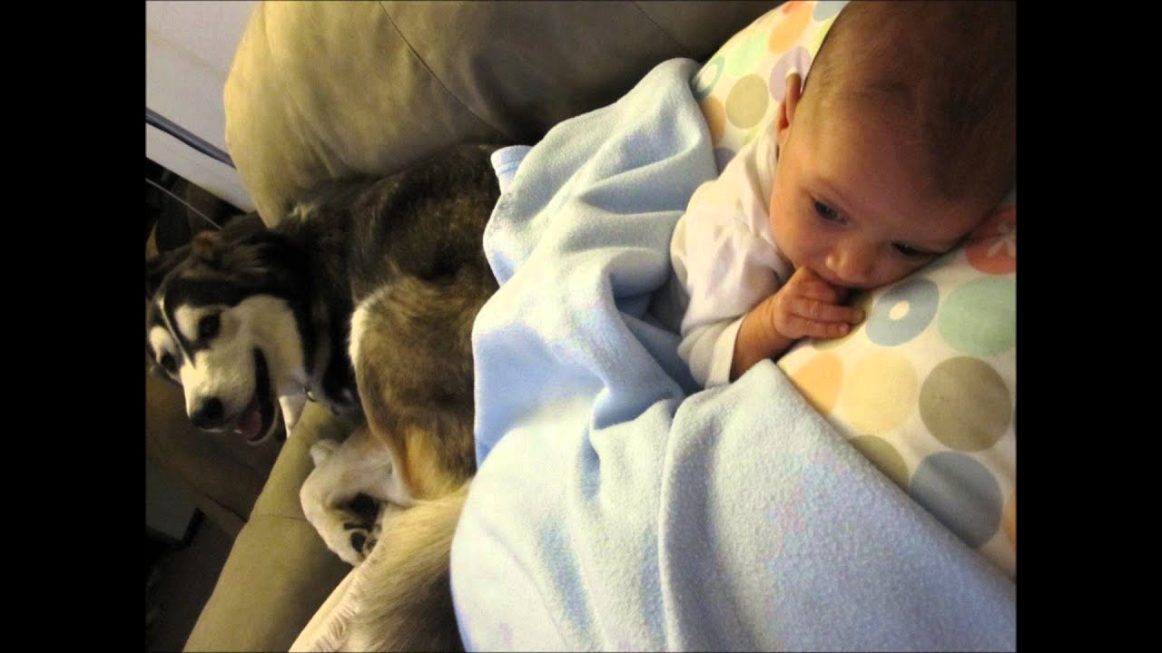 Little Rescuers - YouTube