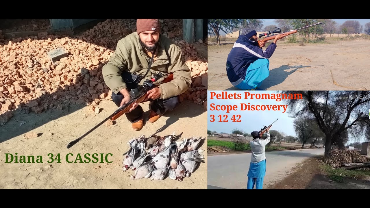 Hunting Season 2020 - YouTube
