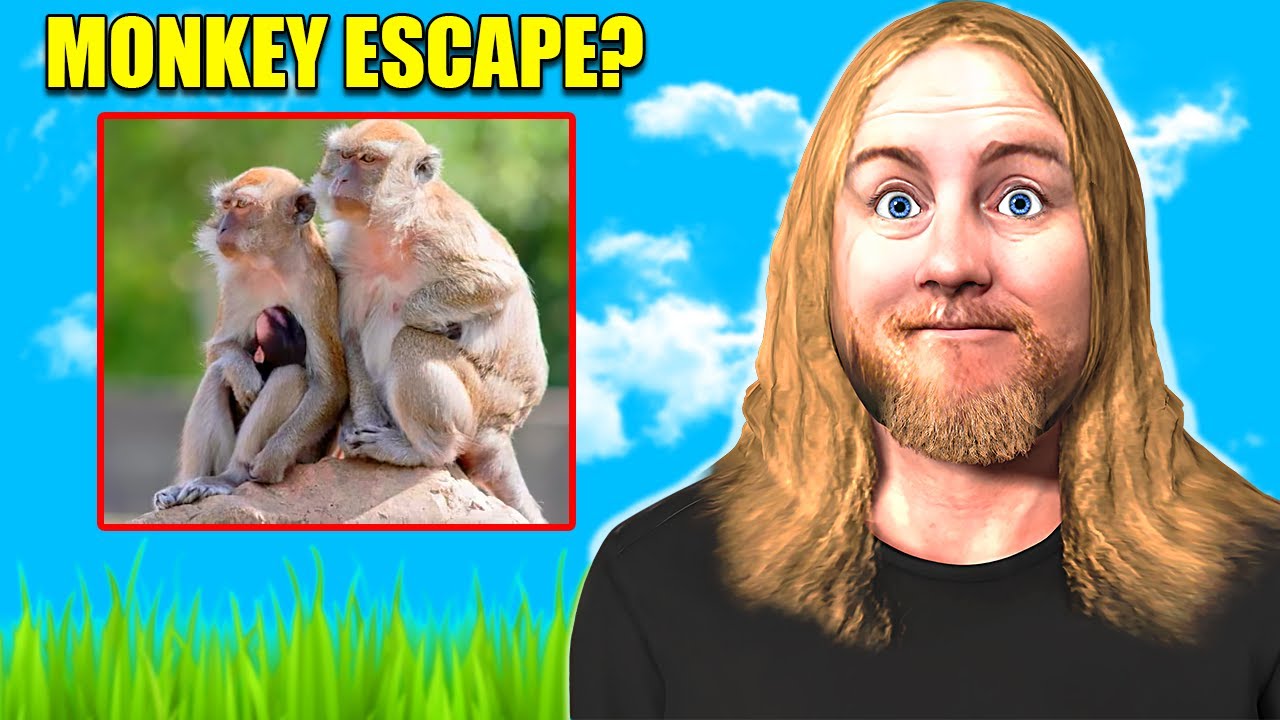 MONKEY ESCAPE IN SOUTH CAROLINA??? - YouTube