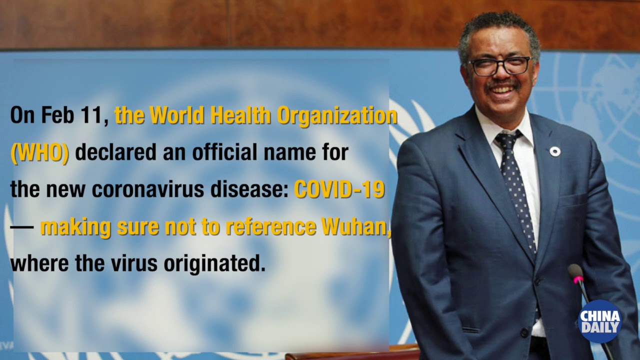 Interview with Michael Walsh - YouTube