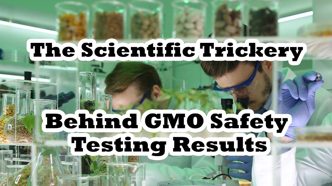 The Scientific Trickery Behind GMO Safety Testing Results - By Author ...