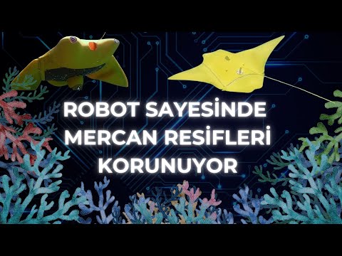 Çin'de gelişen robot sayesinde mercan resifleri korunuyor