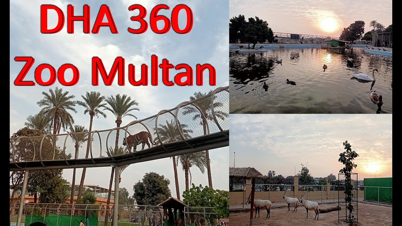 DHA 360 Zoo Multan | XoomPK | Javed Ali - YouTube
