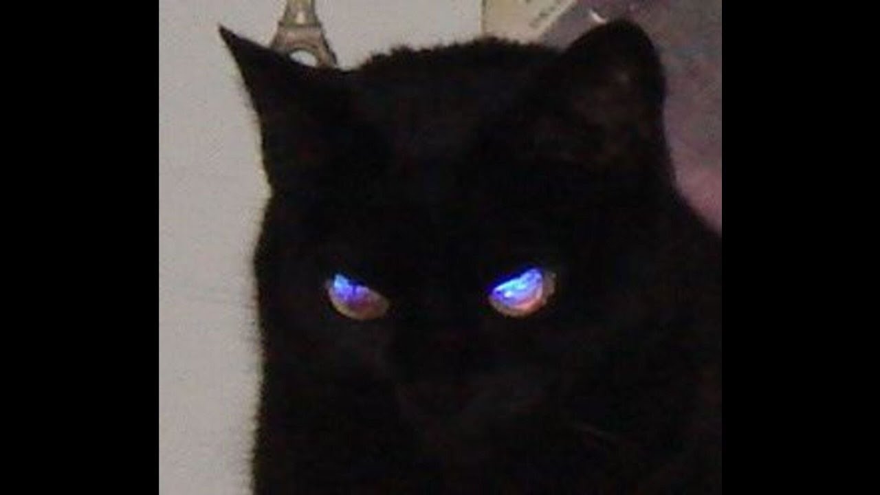 FREE JUICE WRLD x 6 DOGS TYPE BEAT - "Floating In Space" - YouTube