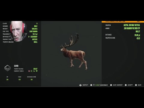 Legendary Red Deer 00001 - YouTube
