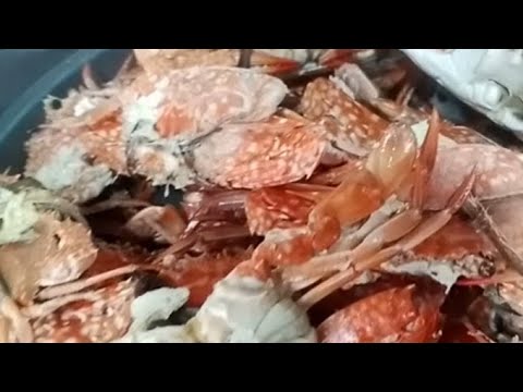 Alimasag overload ! #seafood #crab #screencast - YouTube