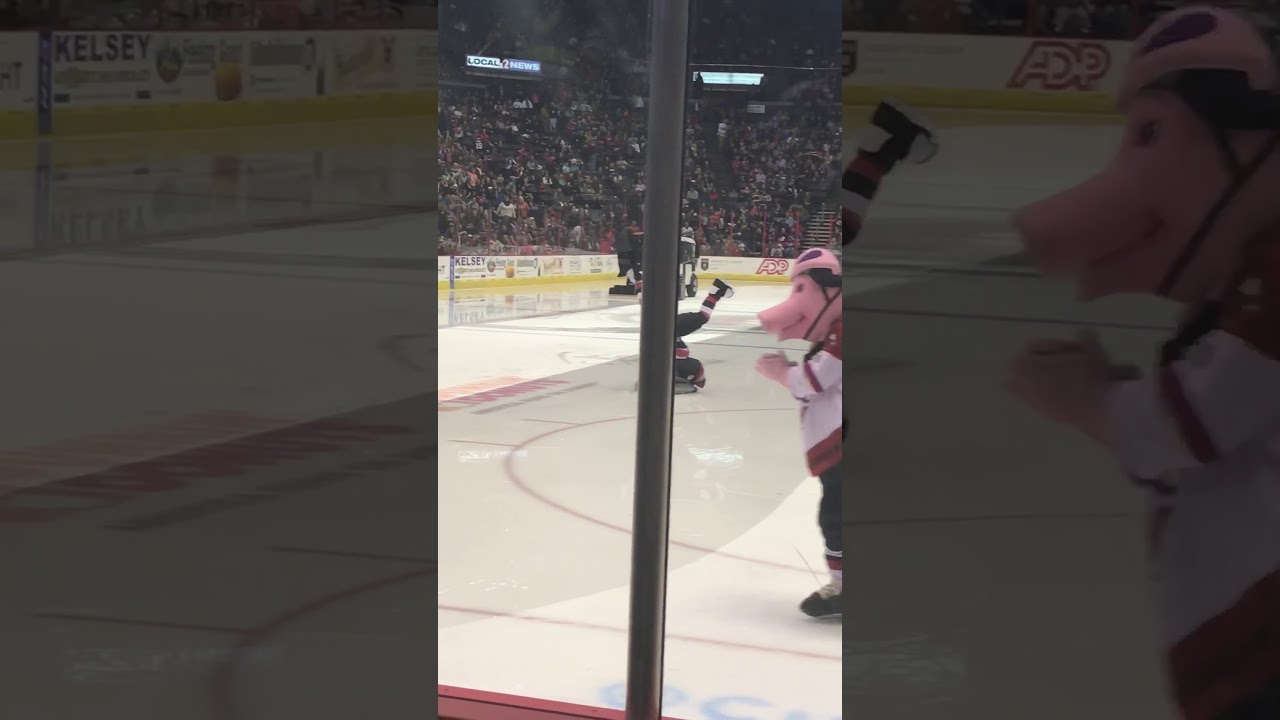 Cincinnati Cyclones Twister Slides on His Head - YouTube