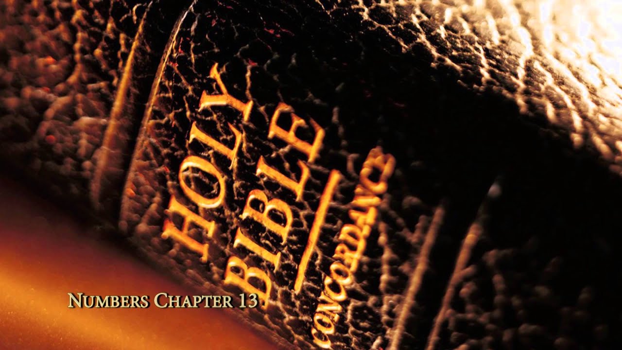 Numbers Chapter 13 - YouTube