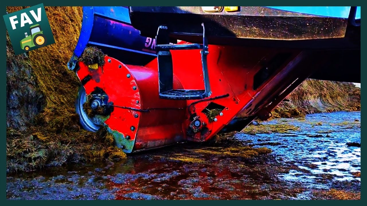 Siloking Selfline 500+ 2519 | Feeding cows - YouTube