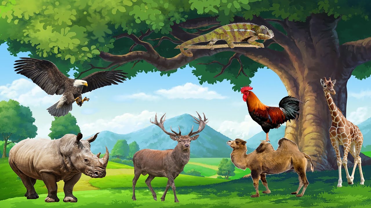 Wild Animal Sounds: Donkey, Cow, Horse, Cat, Giraffe, Ostrich ...